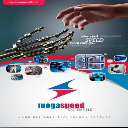Mega_Speed_Profile1 | PDF