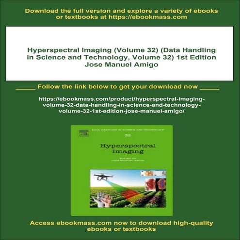 Hyperspectral Imaging (Volume 32) (Data Handling in Science and ...