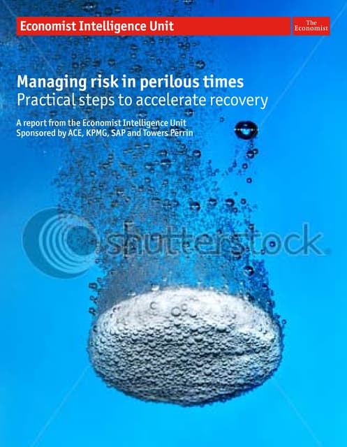 Corporate Risk Management | PPT