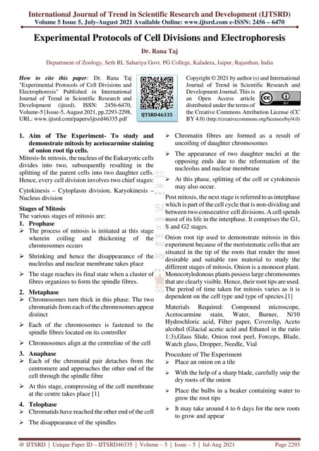 Biology investigatory project on mitiosis | DOCX | Gardening | Home ...