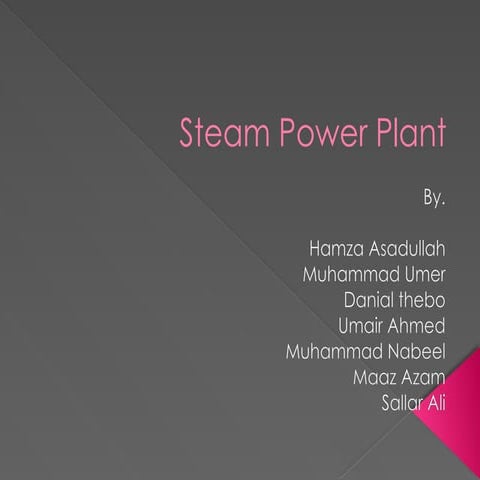 333265036-Steam-Power-Plant-Presentation.pptx