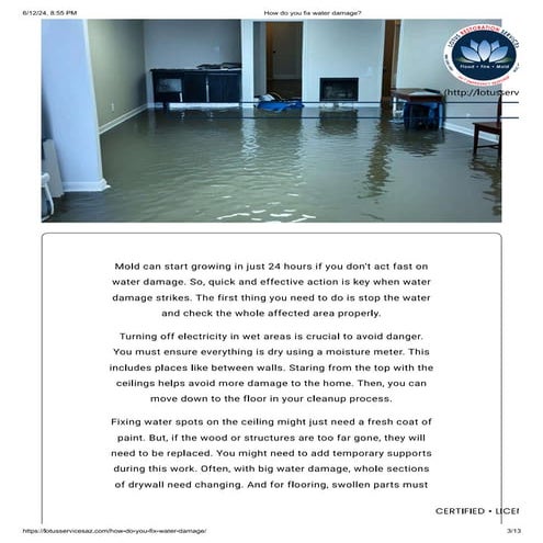 HOW DO YOU FIX WATER DAMAGE? UNDERSTANDING THE TYPES OF WATER DAMAGE | PDF