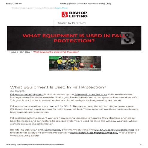 What Equipment is Used in Fall Protection? | PDF