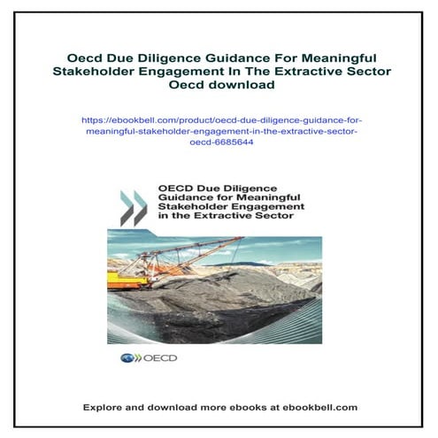 Oecd Due Diligence Guidance For Meaningful Stakeholder Engagement In ...