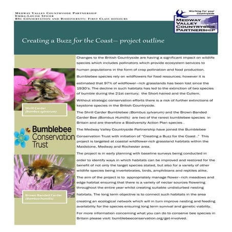 Bumble bee slide show | PPTX