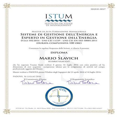 28927-Diploma di Master | PDF