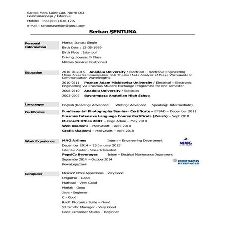 Serkan Sentuna_CV | PDF