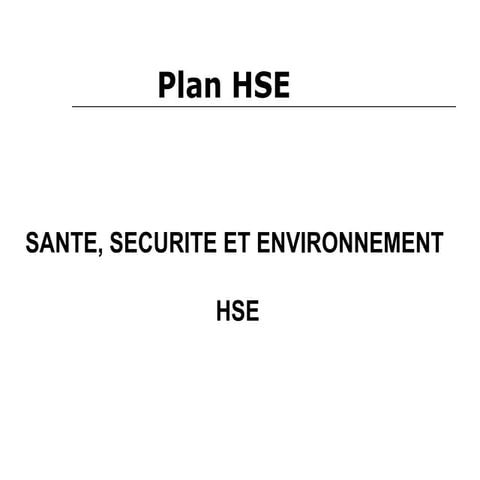 HSE plan and Bridging document | PDF