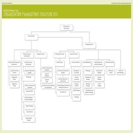 336616398-2-Chester-Zoo-Organisational-Structure.pdf
