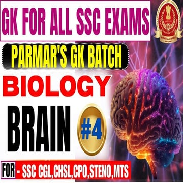 336 BRAIN best notes bbbbbbbbbbbbbbbbbbbbbbb | PPT
