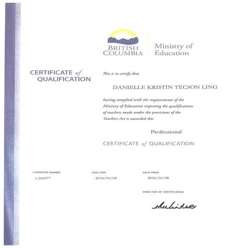 TRB Certificate 2016 | PDF