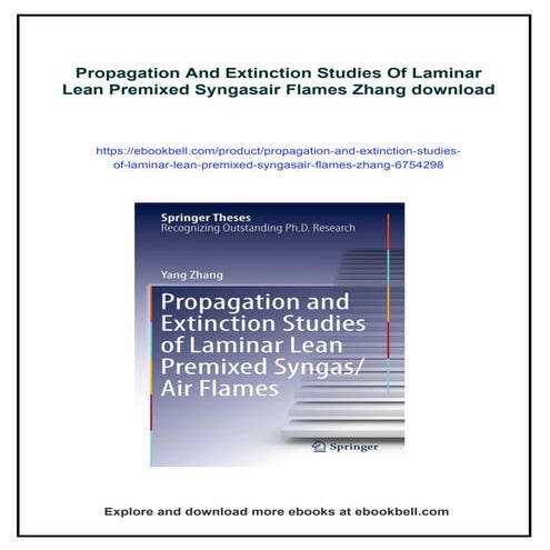 Propagation And Extinction Studies Of Laminar Lean Premixed Syngasair Flames Zhang | PDF