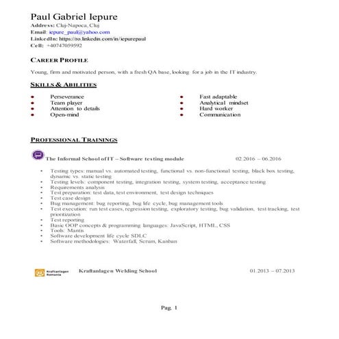 CV-Paul Iepure | PDF