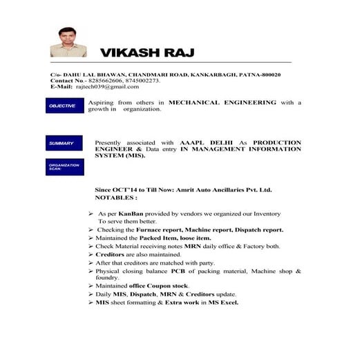 New VIKASH CV | DOC