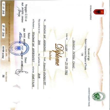 Diploma Bachelor | PDF