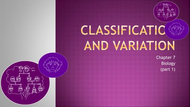 Classification of animals | PPT