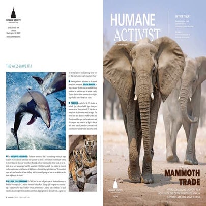 Virginia Chipurnoi - President of a Renowned Animal Welfare ...