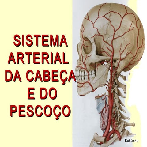 Anatomia de cabeça e pescoço - Dr Jônatas Catunda | PDF