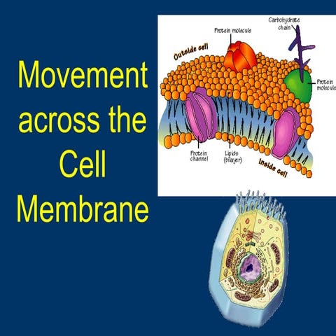 Transport across cell membrane- Passive transport.ppt