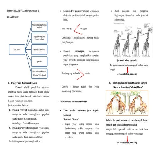 EVOLUSI (BIOLOGI SMA) | PDF