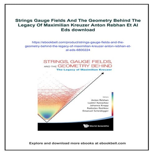Strings Gauge Fields And The Geometry Behind The Legacy Of Maximilian Kreuzer Anton Rebhan Et Al ...