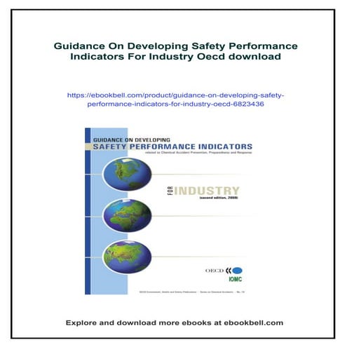 Guidance On Developing Safety Performance Indicators For Industry Oecd | PDF