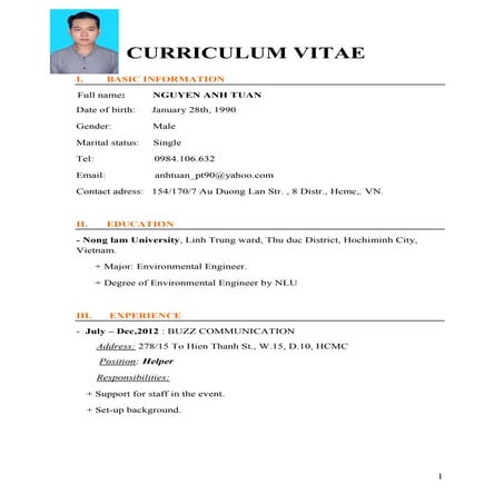CV - English | PDF