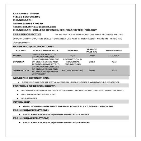 karam cv | DOCX