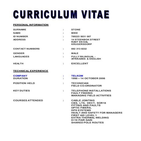 MIKE_CV NEW 2016 | PDF