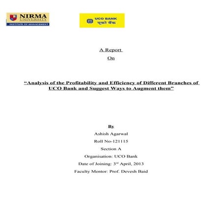 SIP_Report_Interim | DOC