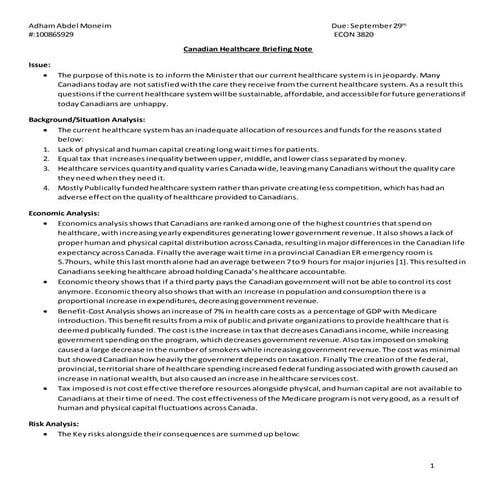 Briefing Note healthcare #1 | DOCX