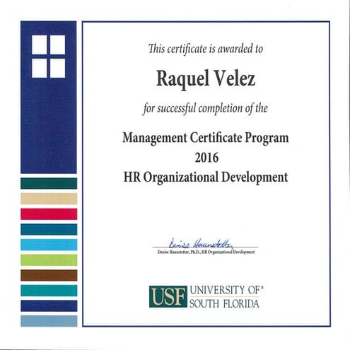 USF Management Certificate Program | PDF