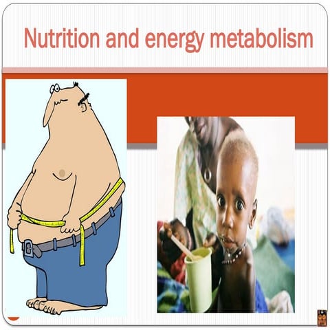 3 4 5 June 2024 Nutrition & Energy Metabolism-Parenteral Nutrition AND ...