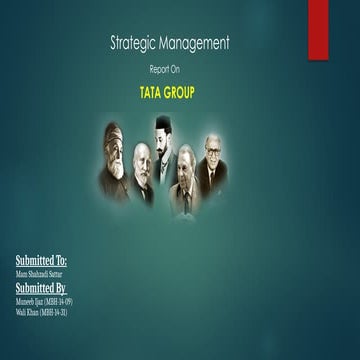Tata Steel Organisation Structure Project | PDF