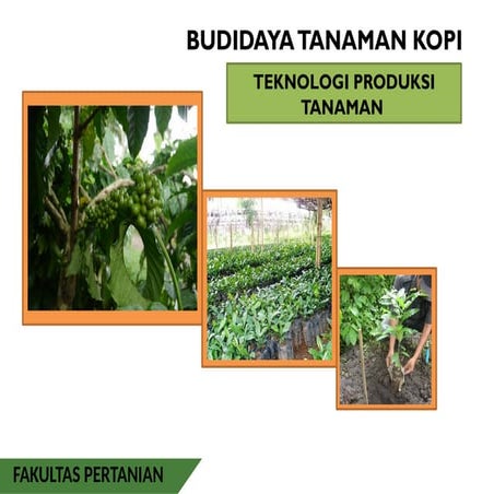Melalui penyangraian pada suhu tinggi senyawa prekursor akan aktif dan ...