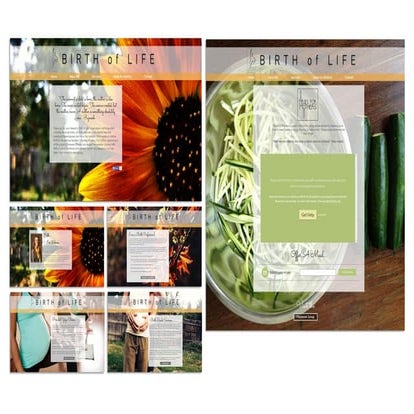 Portfolio Composite | PDF