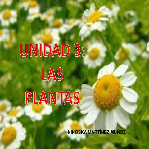 347984155-LAS-PLANTAS-ppt.ppt
