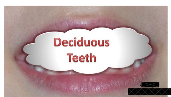 Decduous mavillary 7 mandibular Anterior beth o-.pdf
