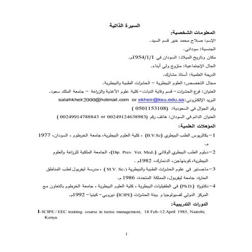 Arabic CV | PDF