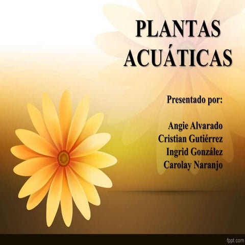 348978257-MACROFITAS.ppt