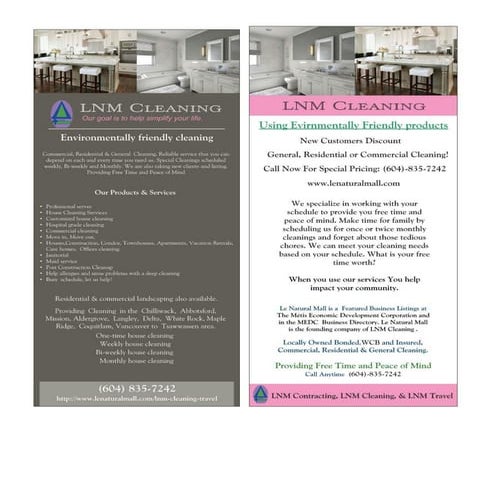 LNMCleaningFlyer (1) (1) | PDF