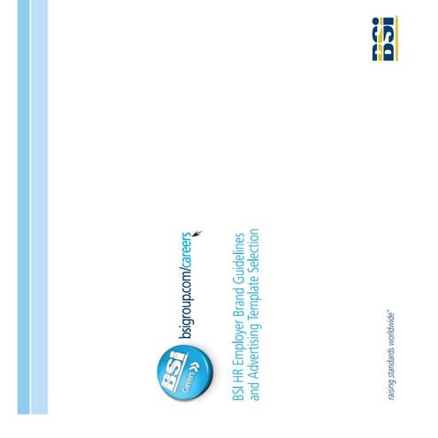BSI Brand Guidelines p1 | PDF