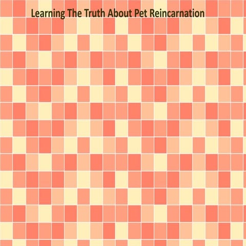 Learning The Truth About Pet Reincarnation | PPTX