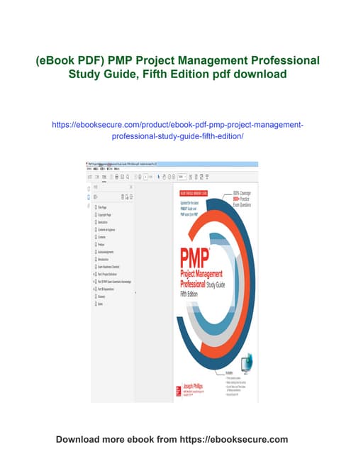 PMBOK® Guide Processes Flow – 6th Edition | PDF