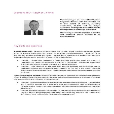 Executive BIO - Stephen James Finnie | DOCX