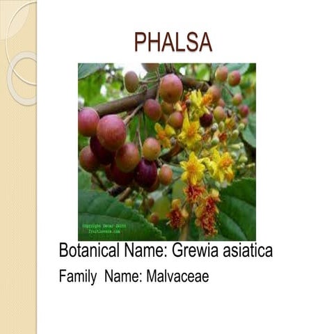 PHALSA | PPTX