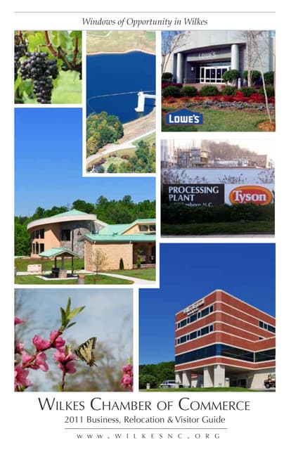 Windshield survey | PPT
