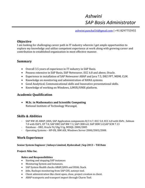 Sap CV | PDF