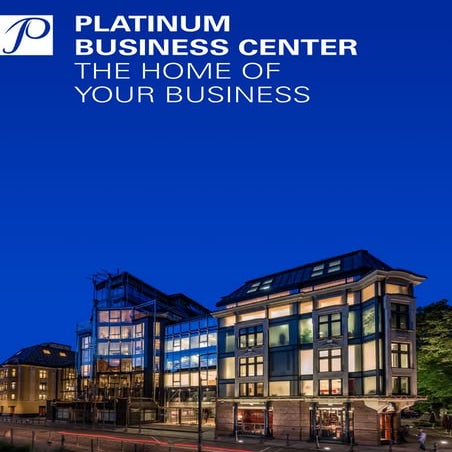 Platinum Brochure (2) | PDF
