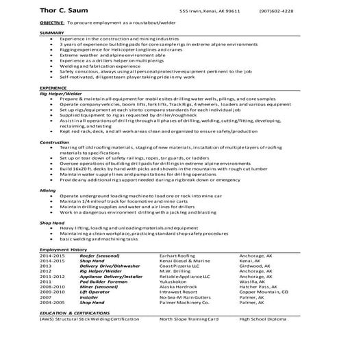 Thor C Saum Resume | DOCX